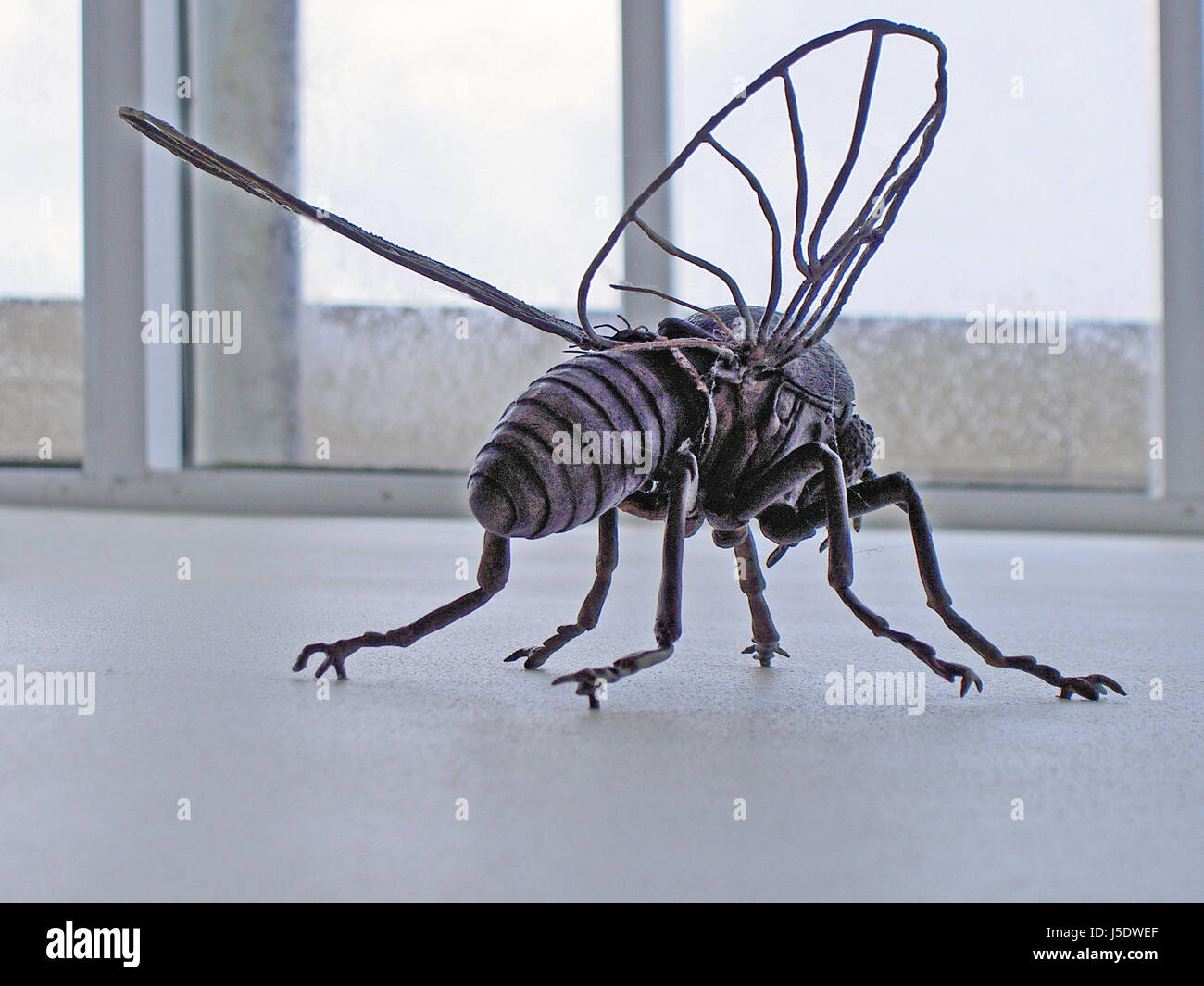 insect national park sting plague new zealand gnat blood-sucker ...