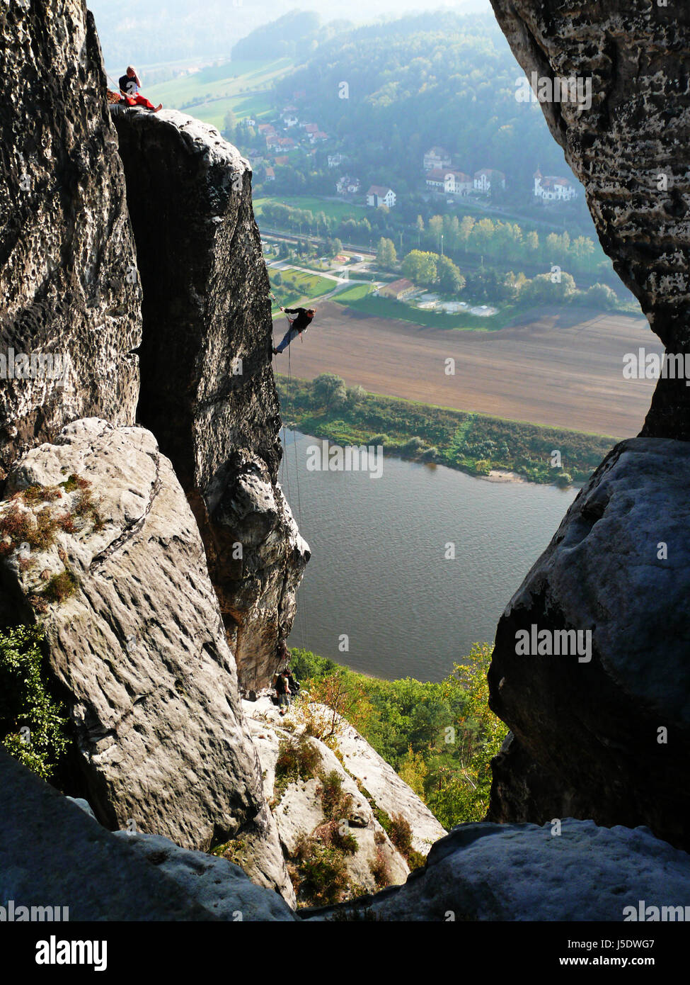 tree trees tourism haze saxony rise climb climbing ascend uphill tread ...