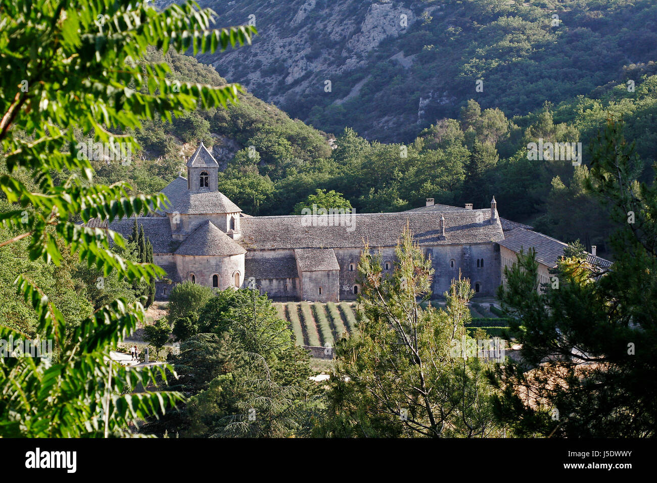 house building france monastery Southern France lavender Provence ...