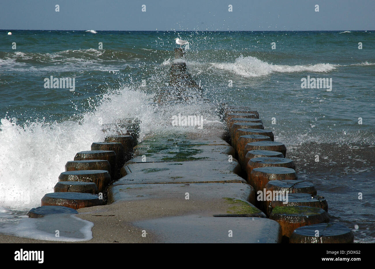 Timelessness hi-res stock photography and images - Alamy