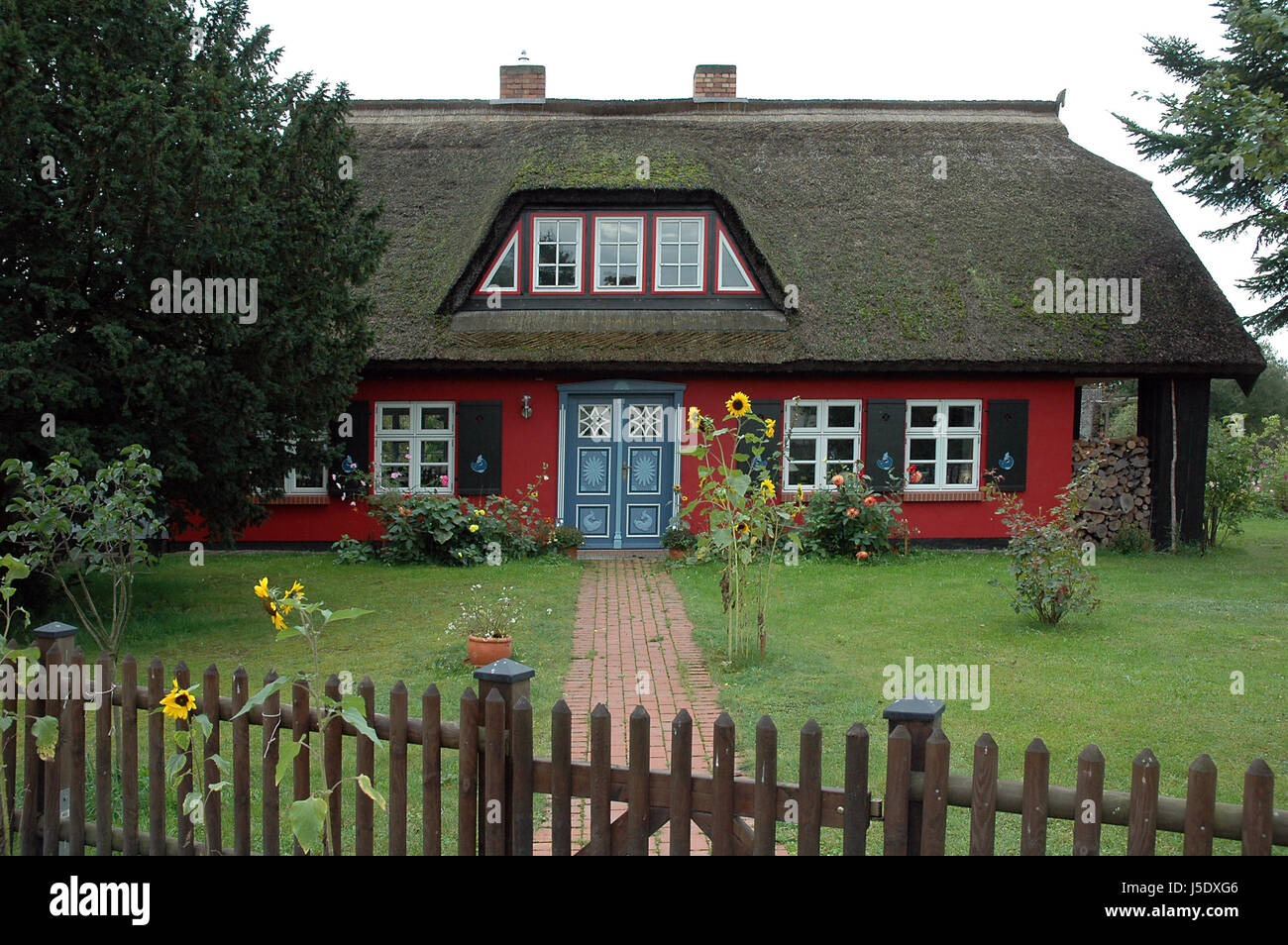 tree window porthole dormer window pane wood coloured colourful ...