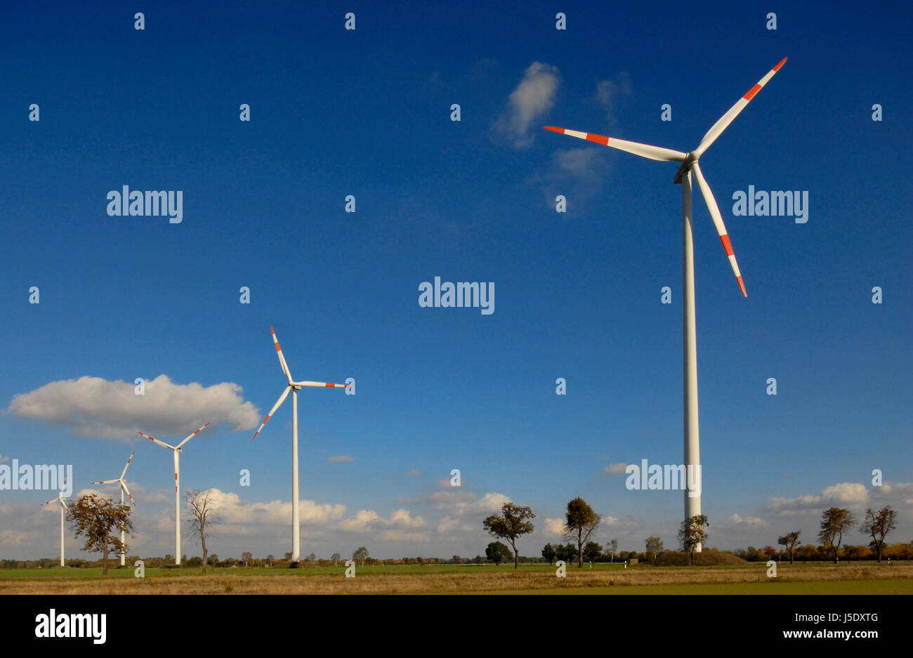 wing,energy,power,electricity,electric power,wind force,windmill,rotor ...