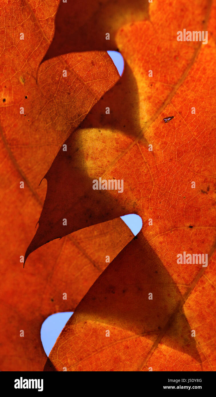 Overlapping design hi-res stock photography and images - Alamy