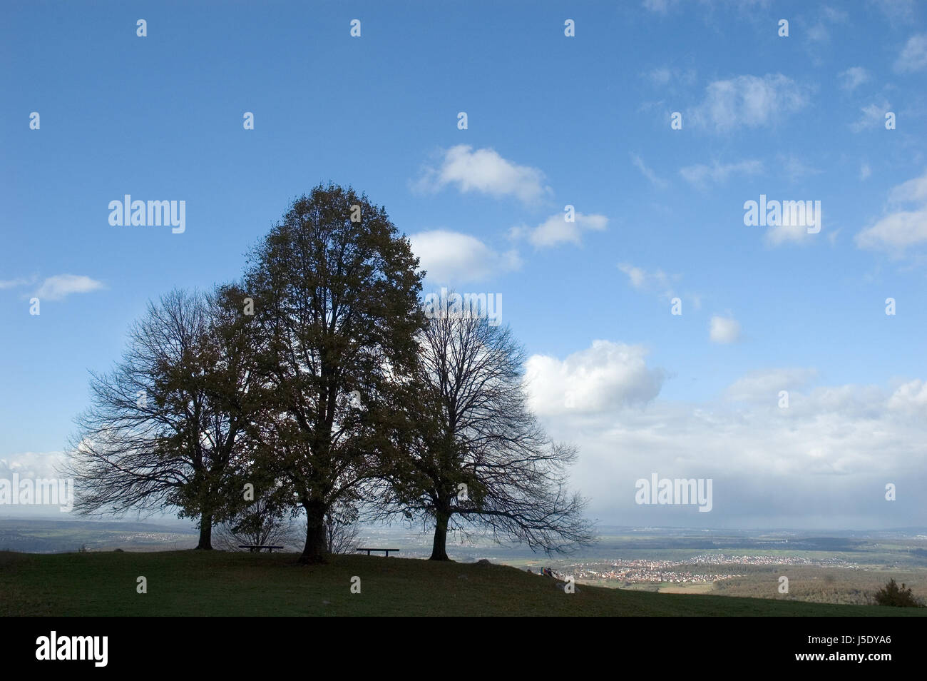 blue tree width valley sight view outlook perspective vista panorama ...