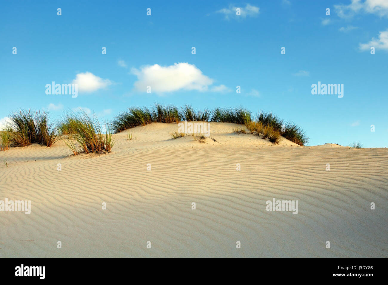 the sweet no sahara australia Stock Photo - Alamy