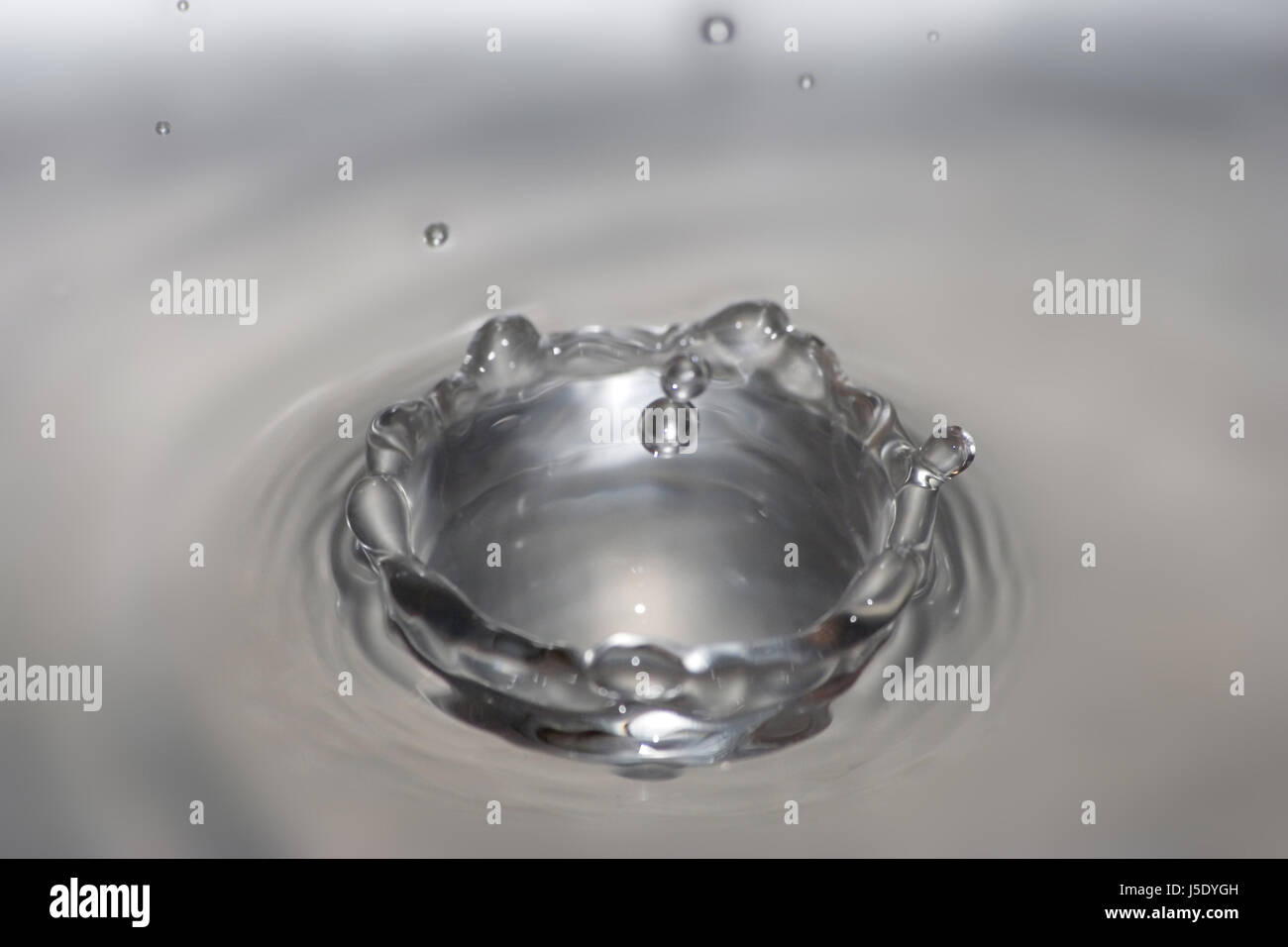 Smooth crown hi-res stock photography and images - Alamy