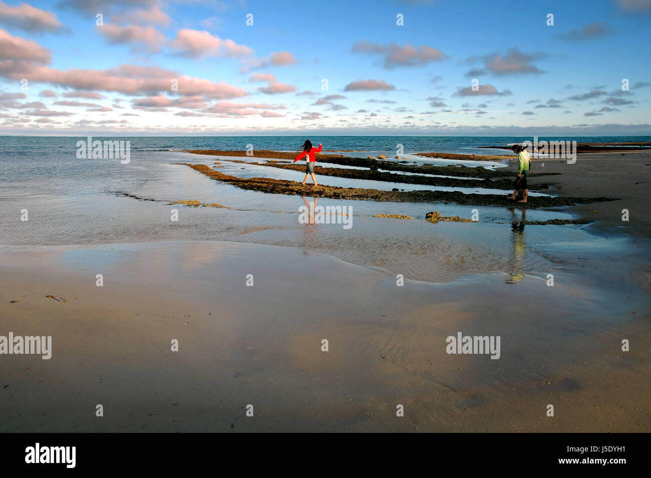 humans,animals and nature in balance Stock Photo - Alamy