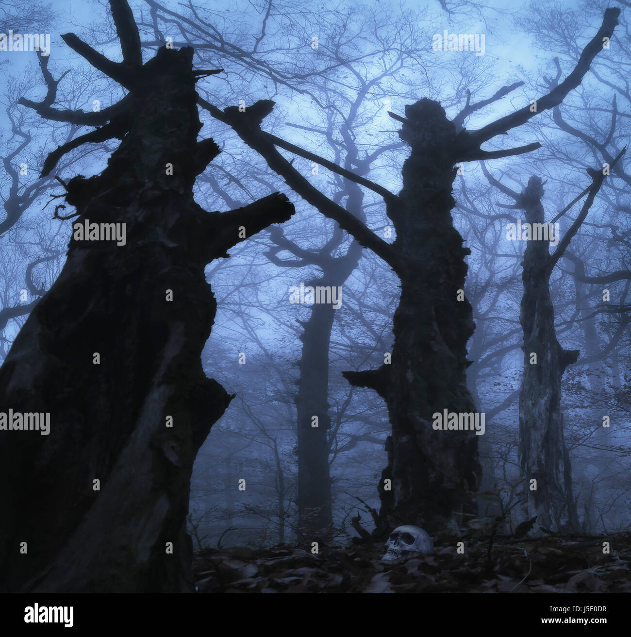 in finsterwald ii Stock Photo - Alamy