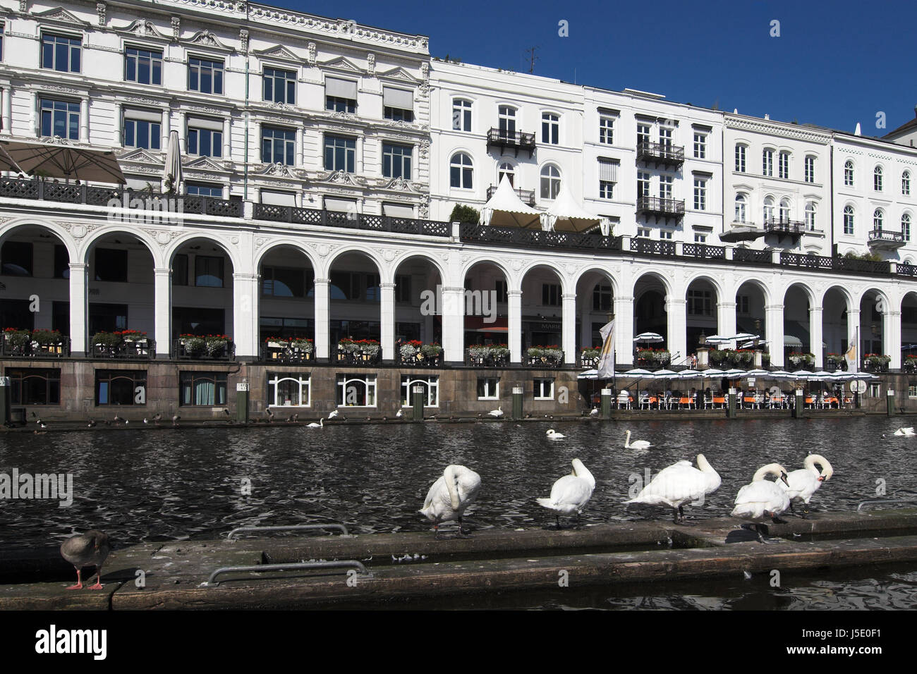 passersby house home dwelling house residential building building ...