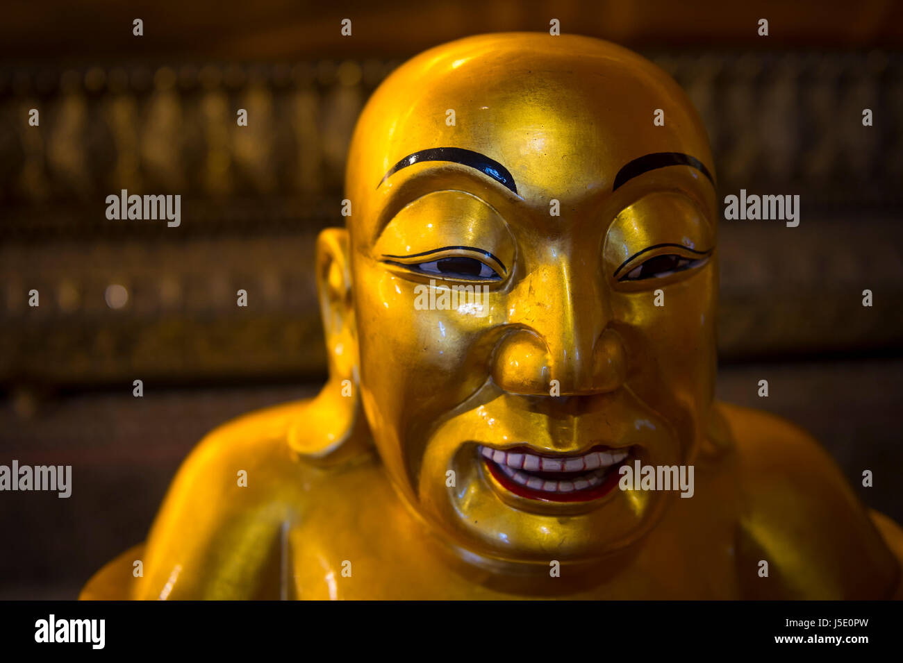 Head and shoulders close up of the smiling face of a golden seated ...