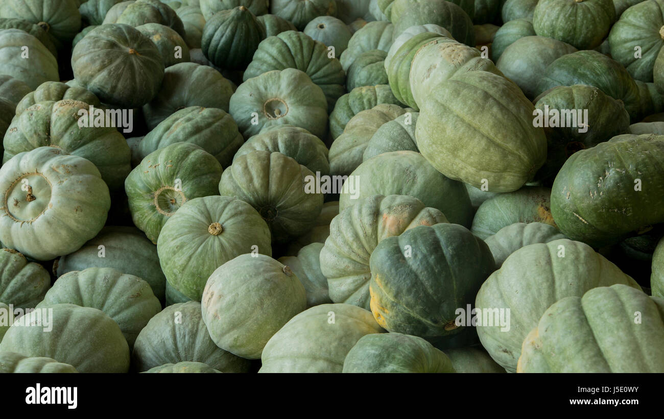 Close up collection pumpkins hi-res stock photography and images - Alamy
