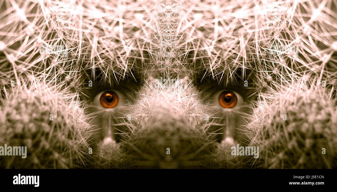 wait waiting bear face eye organ human human being dream look glancing ...