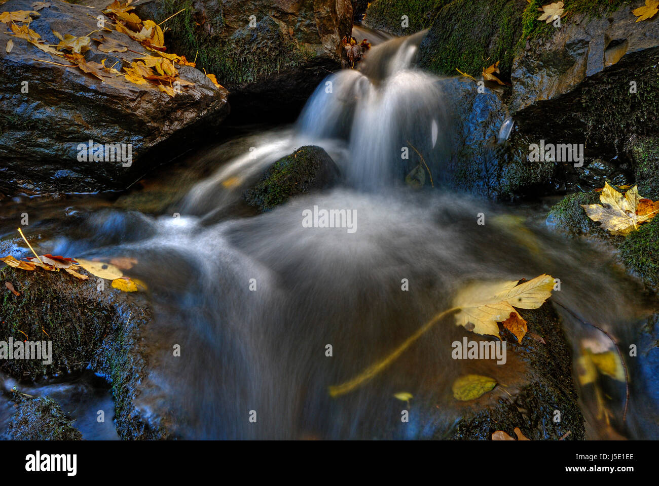 feeling emotions leaves mood rock mourning sorrow watercourse autumn ...