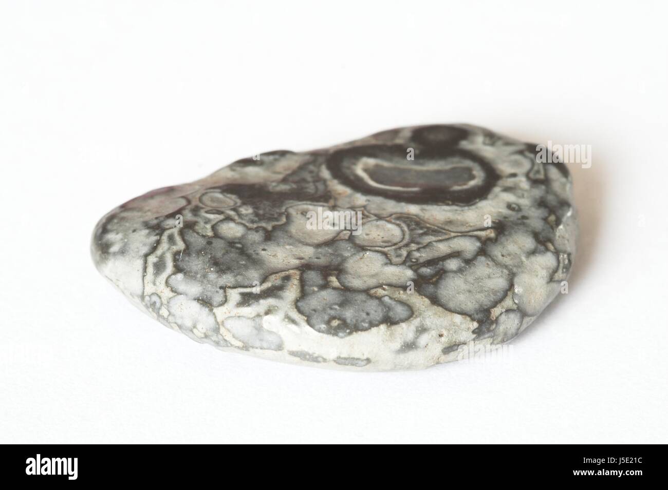 Feuerstein hi-res stock photography and images - Alamy