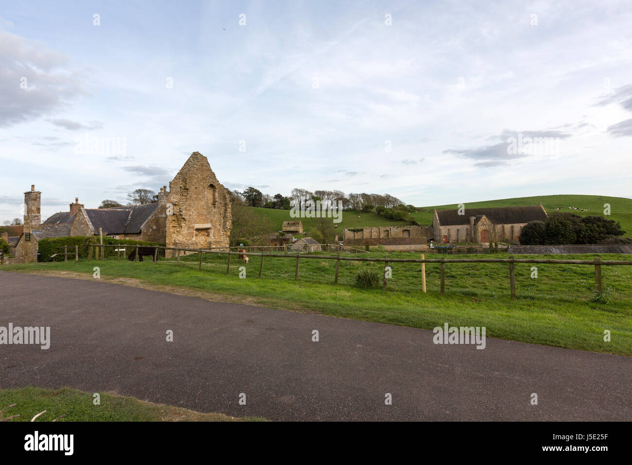 Abbotsbury abbey hi-res stock photography and images - Alamy