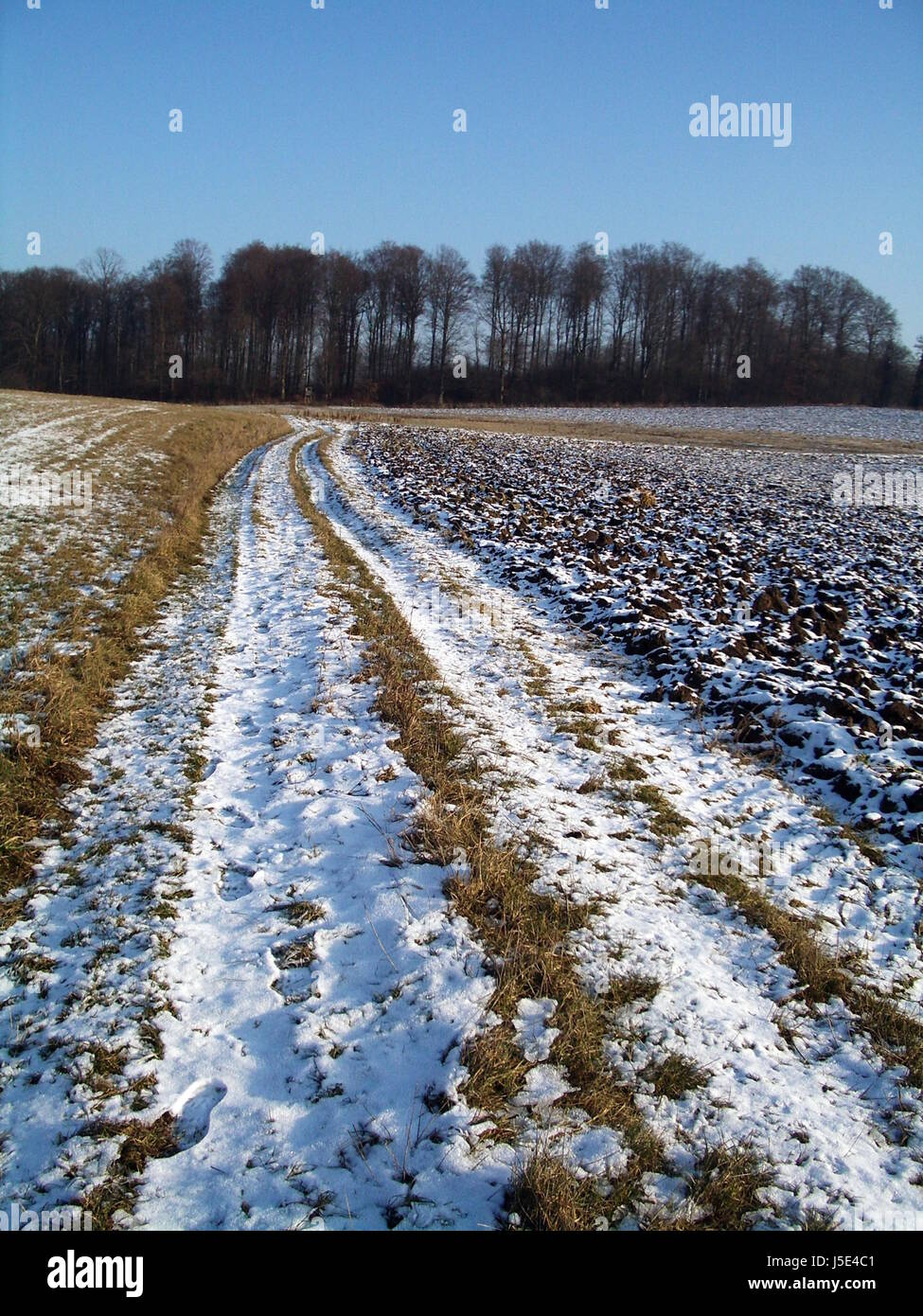 winter field snowy frozen woods acre winter landscape frost work icy ...