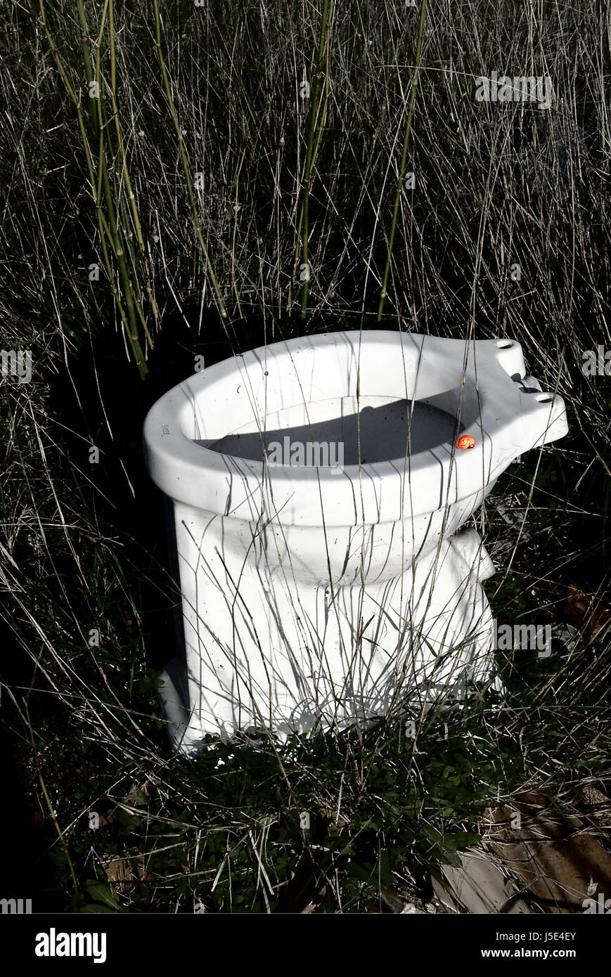 isolated snail toilet abstract taken down alone lonely nature still ...