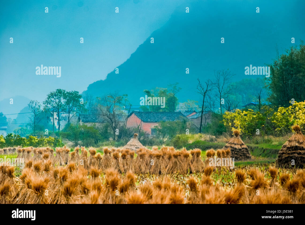 The countryside scenery in autumn Stock Photo - Alamy