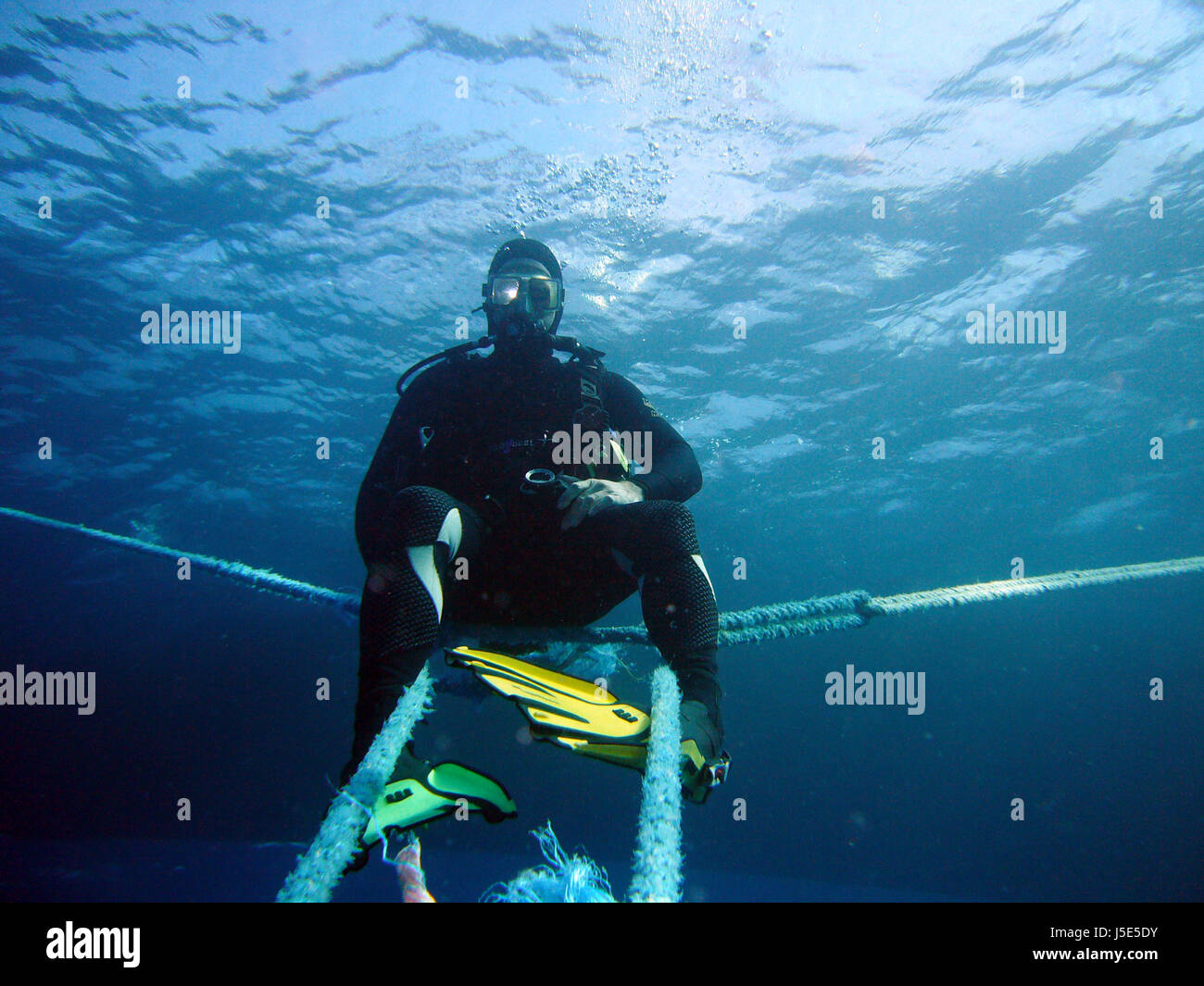 wait waiting waves underwater blow dew surface dive fins put sitting ...