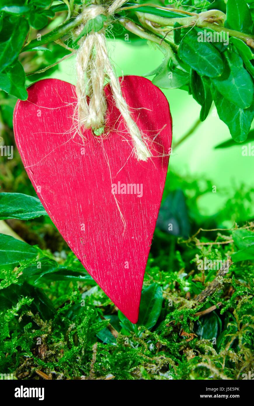 May Moss High Resolution Stock Photography and Images - Alamy