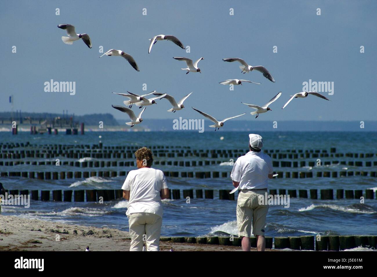 woman blue humans human beings people folk persons human human being ...