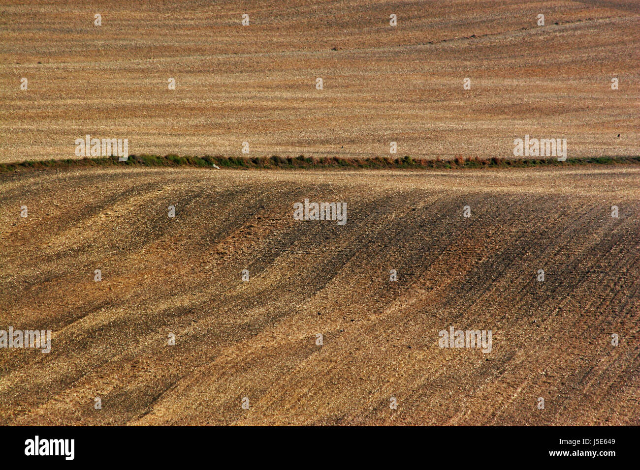 field waves fields nature hill agriculture farming field summer ...