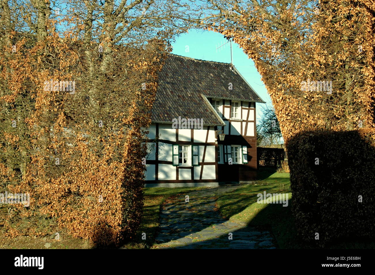 entrance frame-work hedge hedges court yard windbreak buchenhecke ...