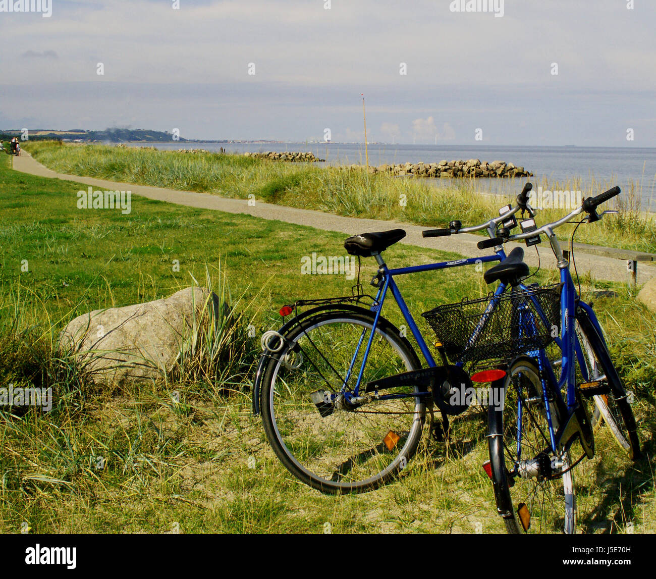 blue water baltic sea salt water sea ocean bike bicycle cycle meadow ...