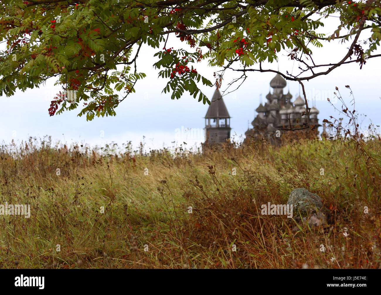 church tree historical russia wooden rowan dyer staint pigment meadow ...