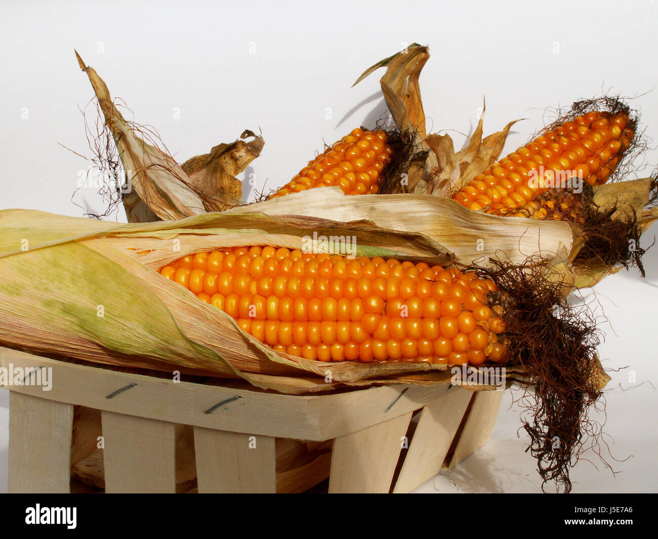 fodder grain centre punch corn october reap piston corncob september ...