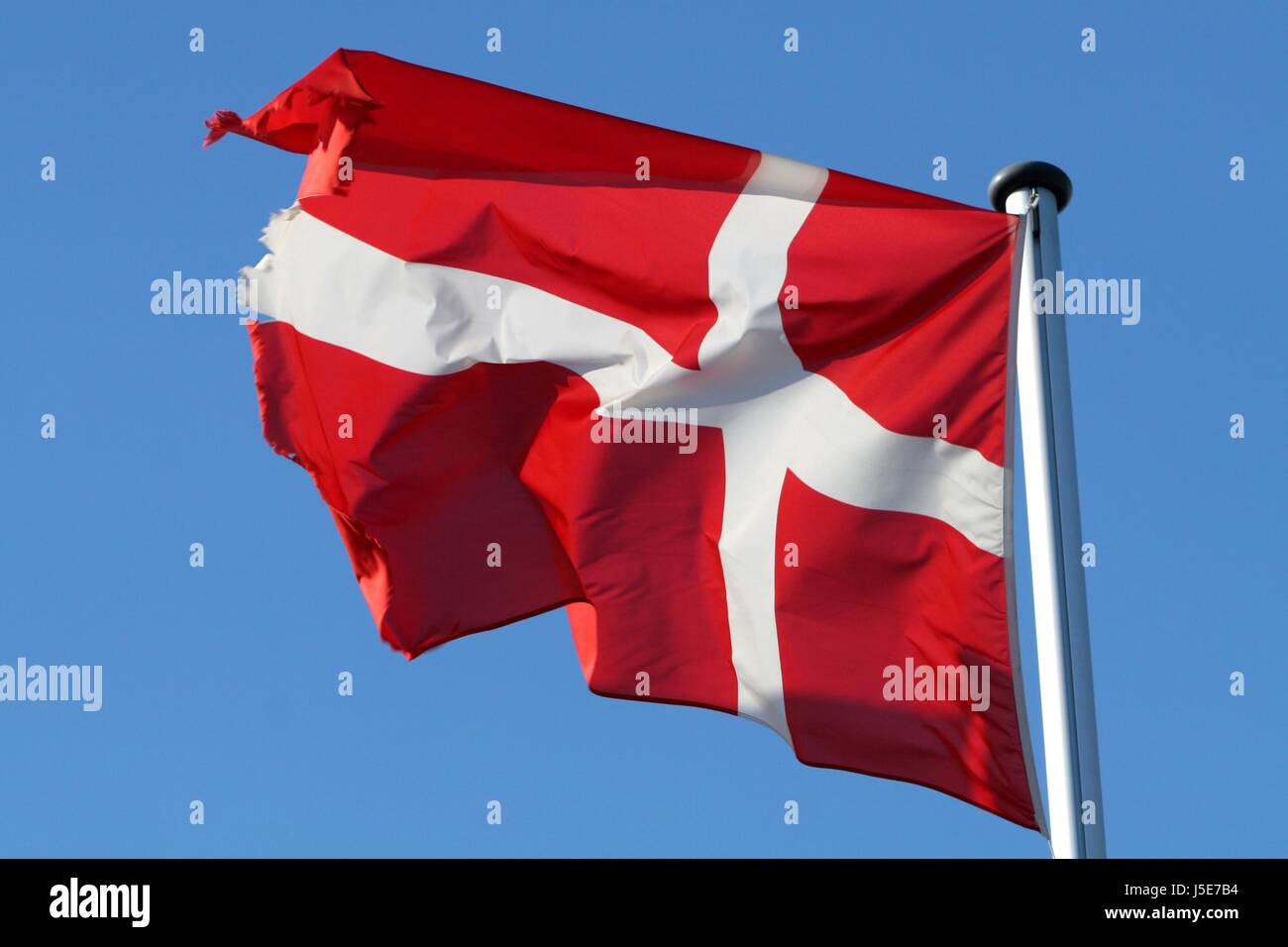 coloured colourful gorgeous multifarious richly coloured denmark ...