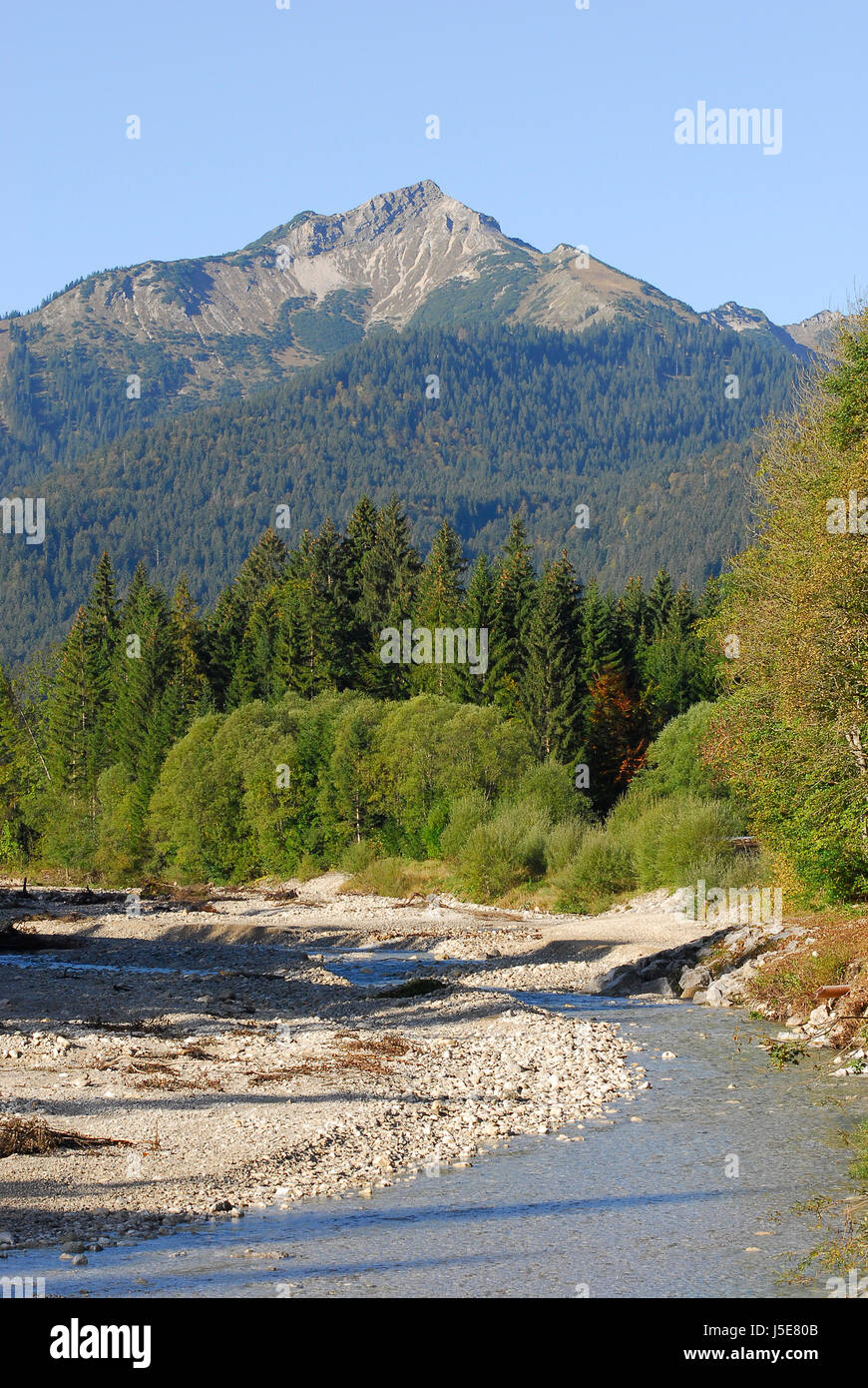 mountains alps deciduous trees autumnal stream bavaria firs upper ...