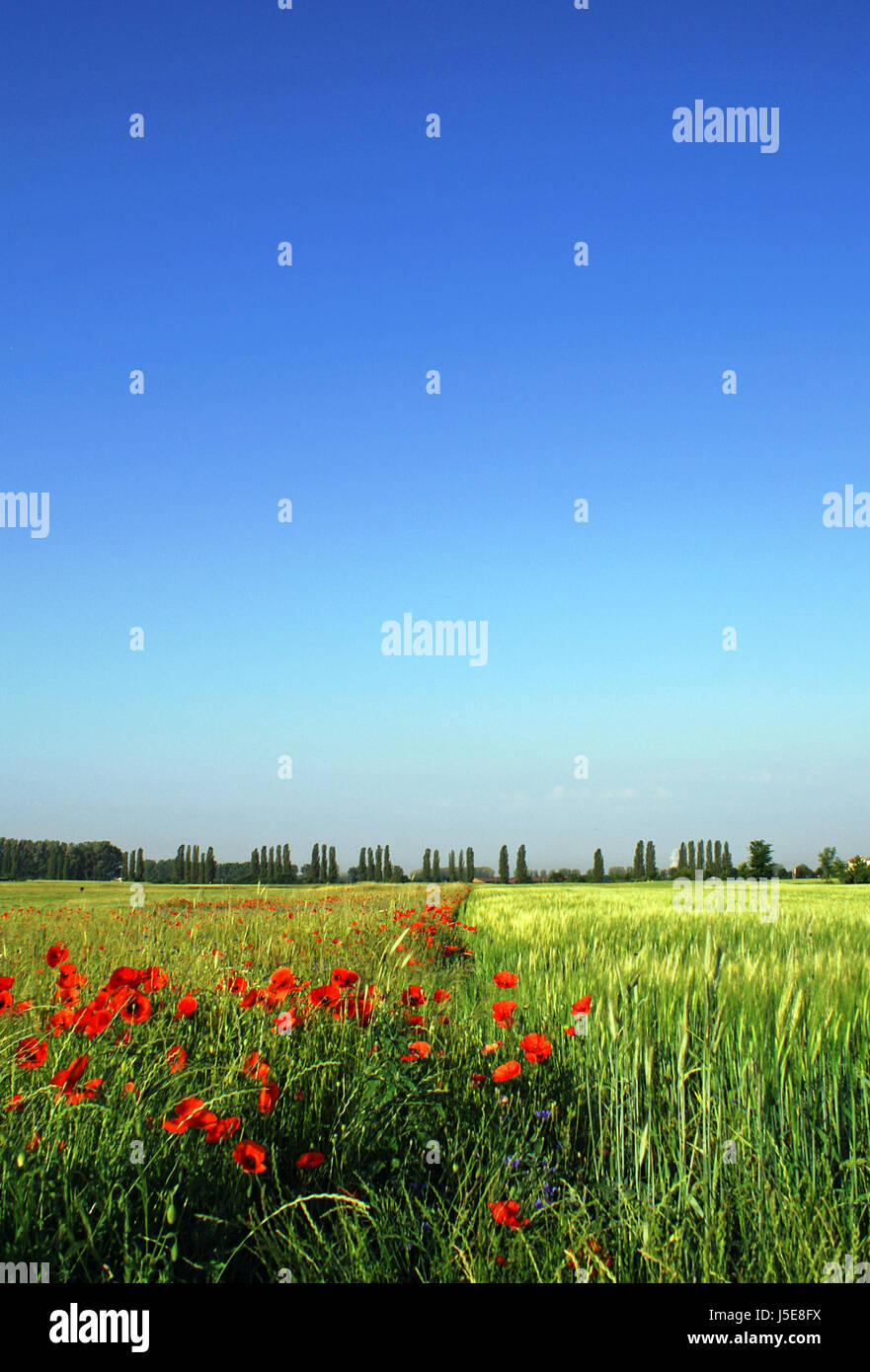 Two fields hi-res stock photography and images - Alamy