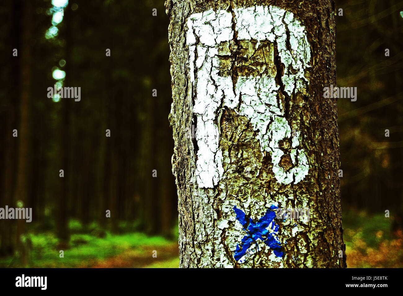 Rennsteig wanderweg hi-res stock photography and images - Alamy