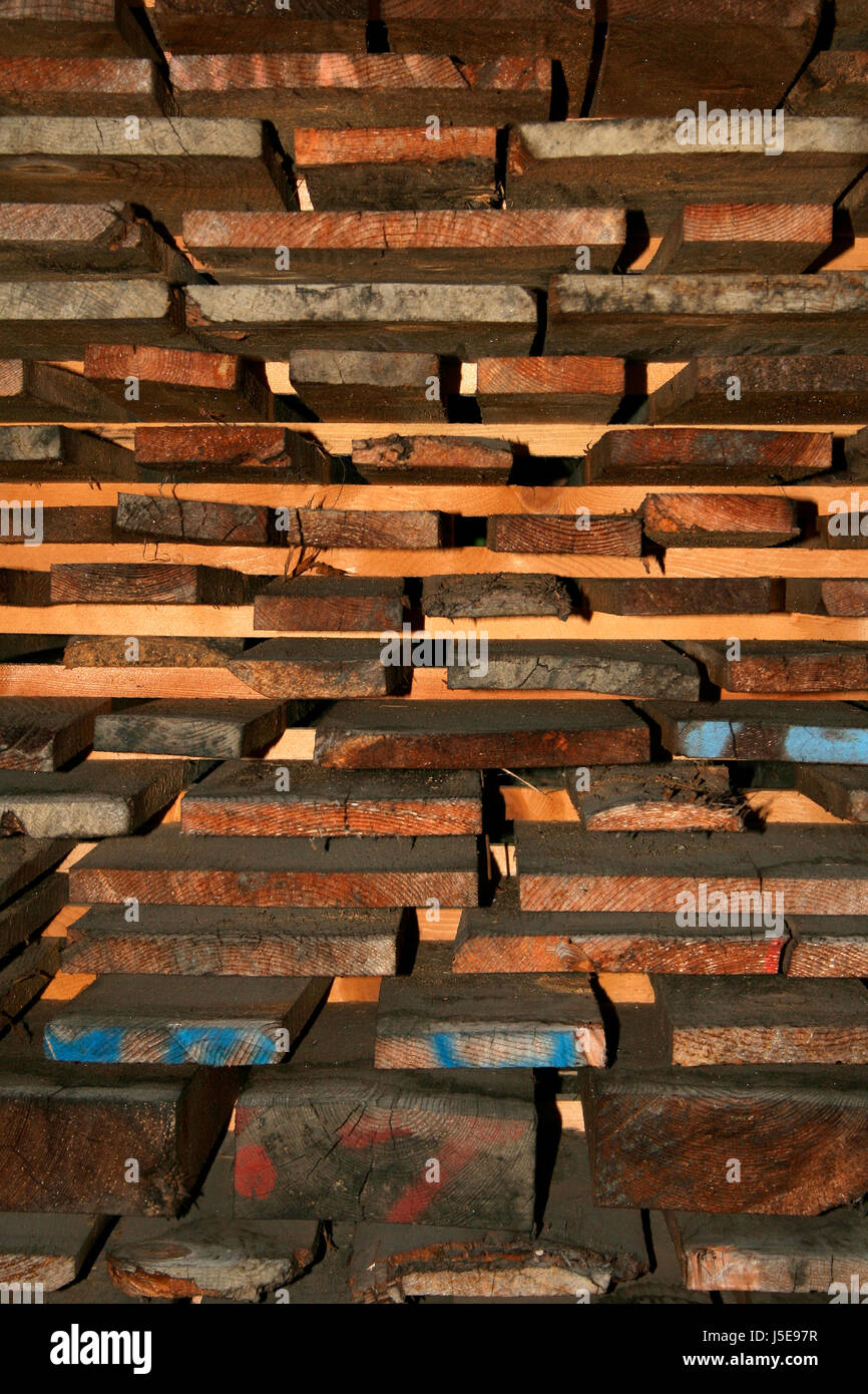 tree trees wood stack shelf canvas sawmill lumbers joinery forest ...