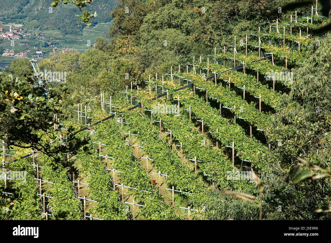 Fill figure hi-res stock photography and images - Alamy
