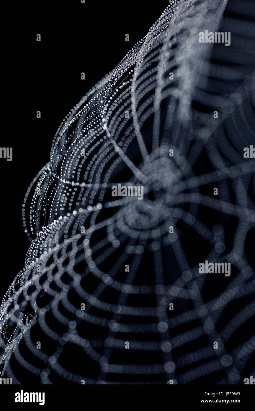 Deep sharpness hi-res stock photography and images - Alamy