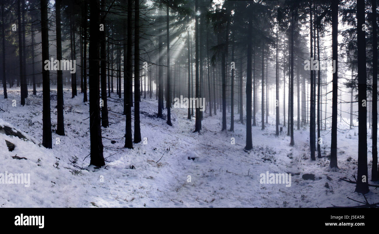 beam of light Stock Photo - Alamy