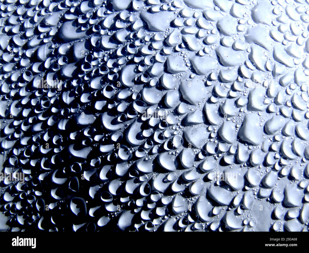 blue condensed water wet dew cool pearls smooth perishable glitter damp ...