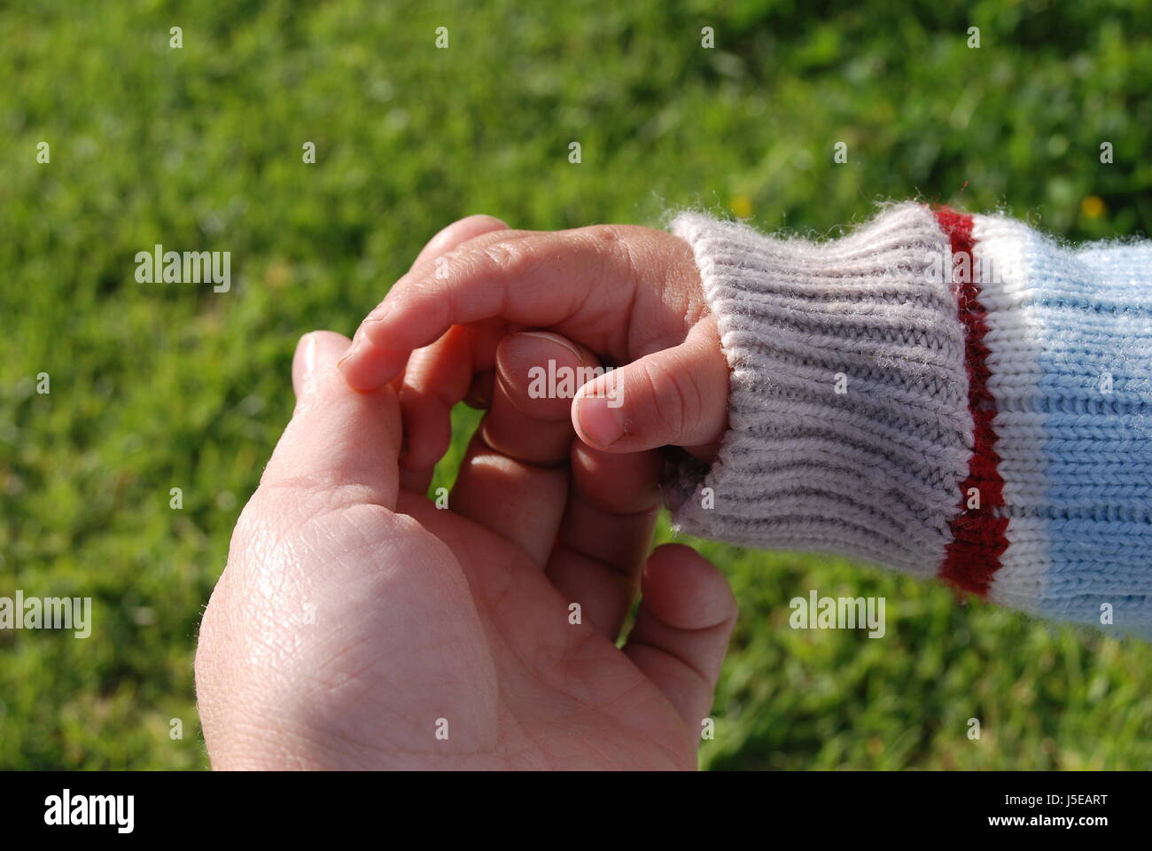humans human beings people folk persons human human being hand macro ...