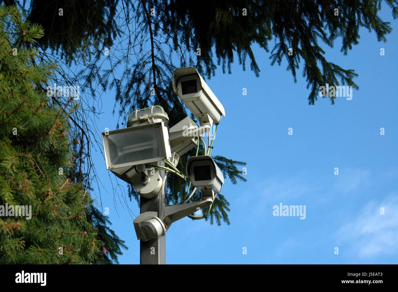 monitoring shiner light lamp luminary mast radiator housebreaking ...