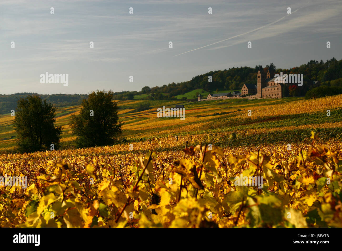 vineyards monastery abbey convent saint house building tower shine ...