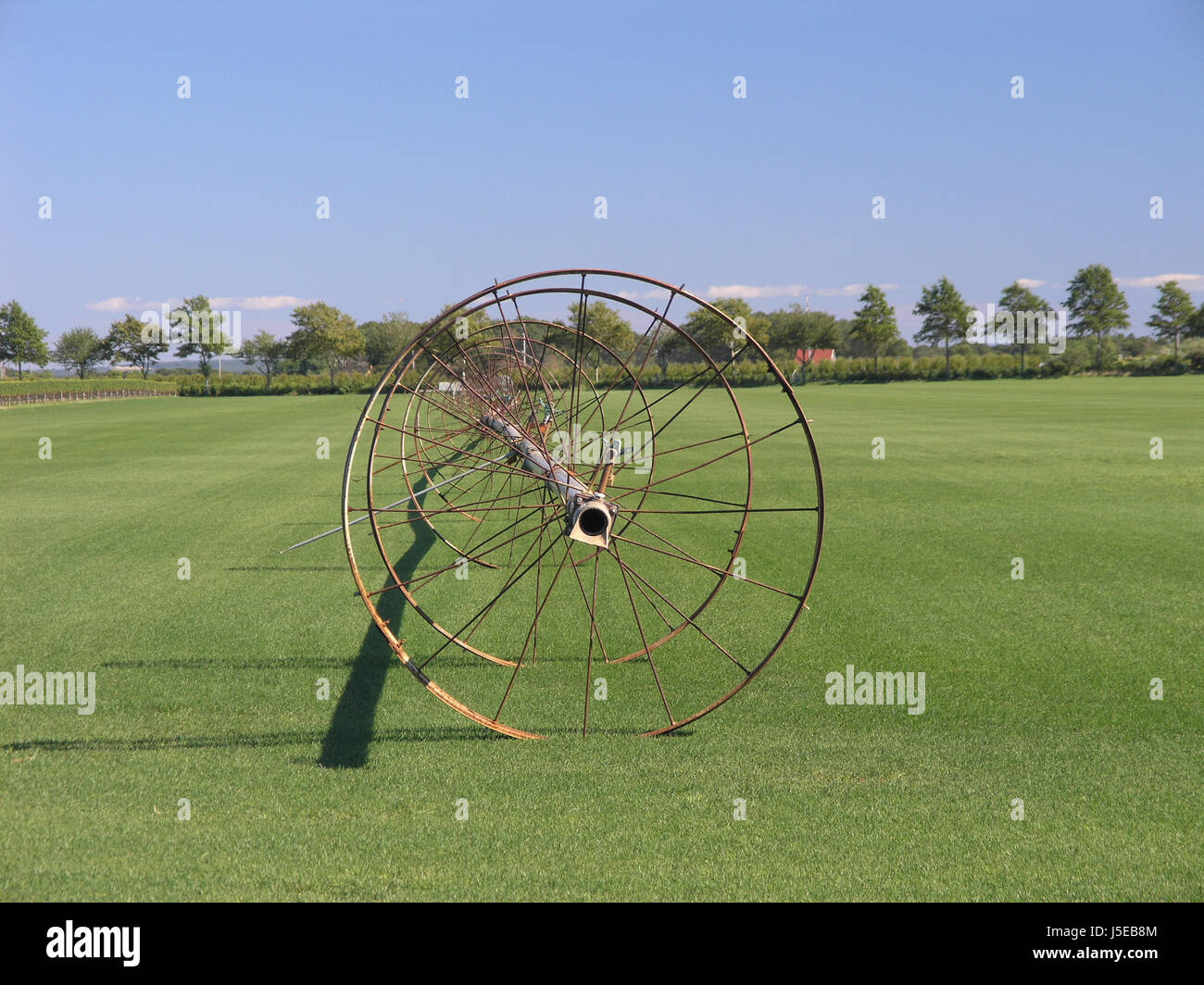 blue tree wheel green agriculture farming usa america dryness drought ...