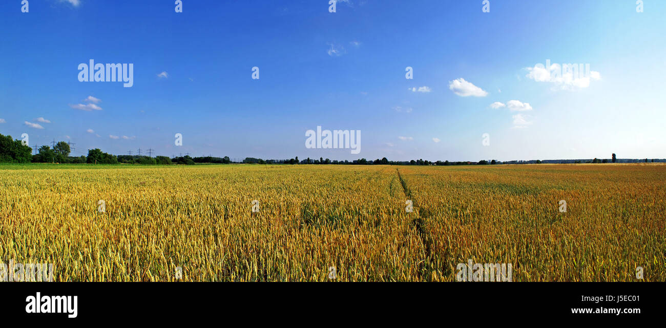 Broad acre farming hi-res stock photography and images - Alamy