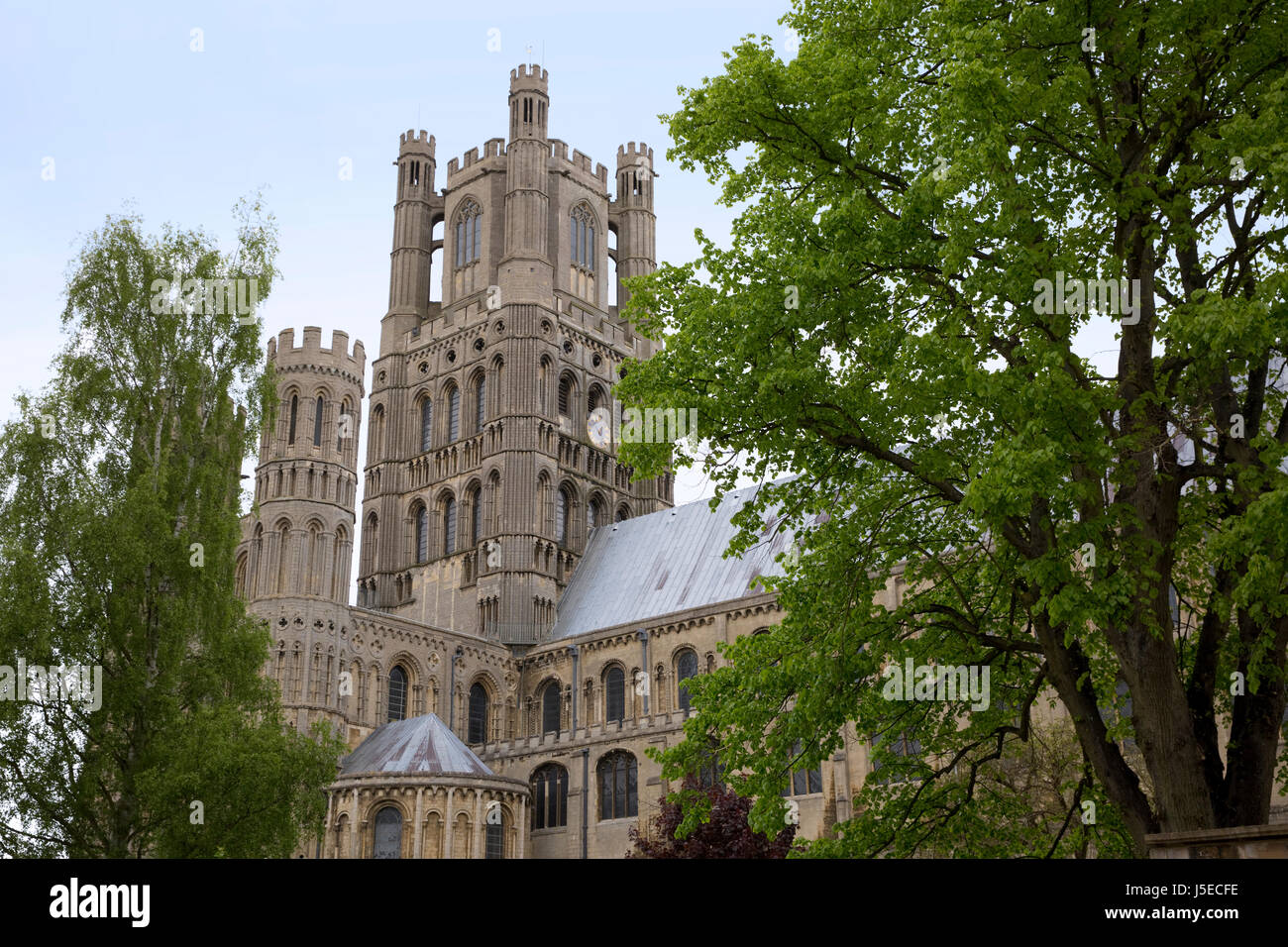 Picture shows: Ely Cathedral, Cambridgeshire, England Stock Photo - Alamy