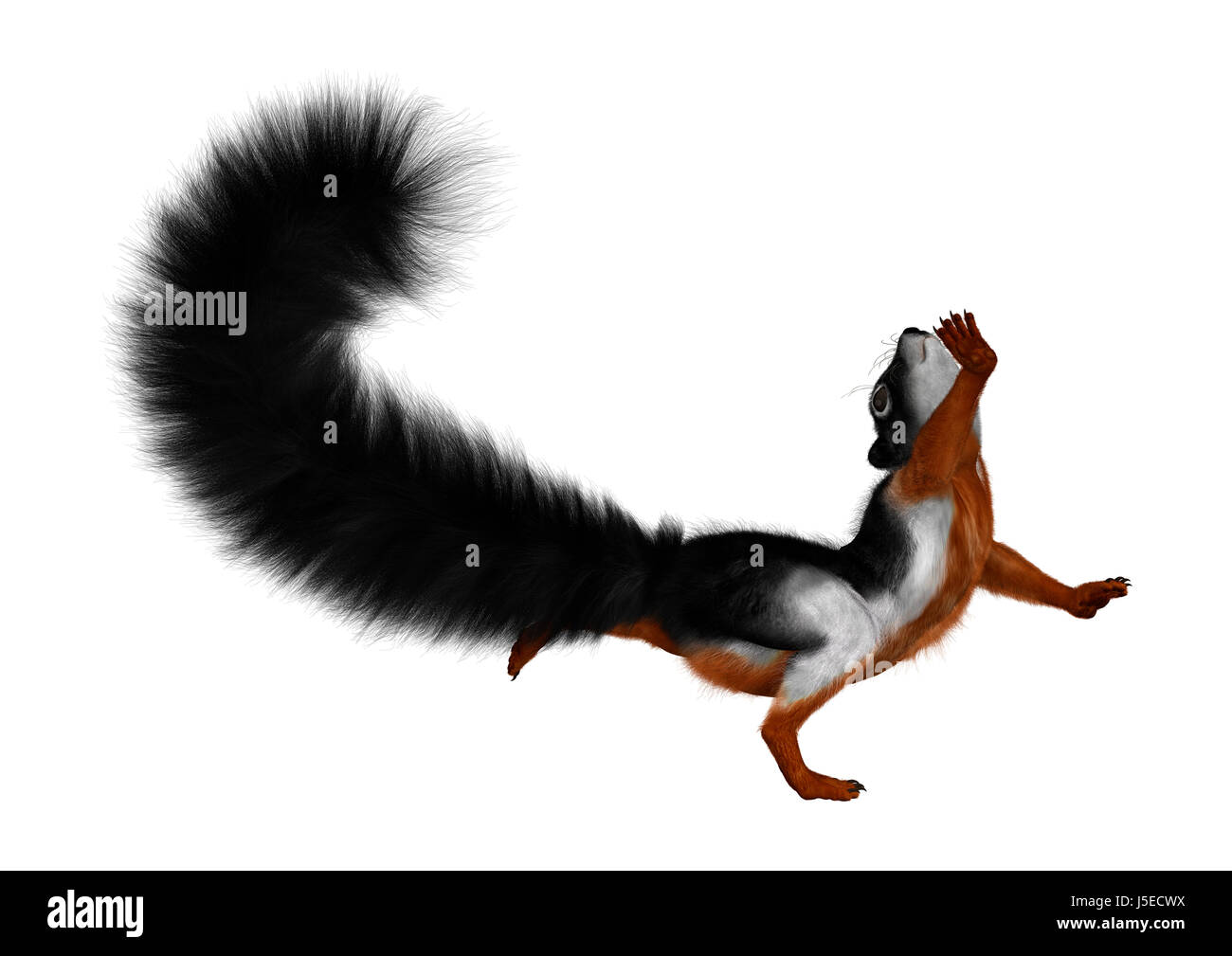 3D rendering of a Prevost's squirrel or Asian tri-colored squirrel ...