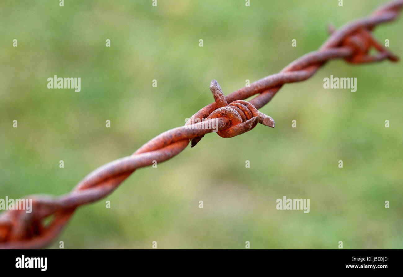 Twisted barbed wire hi-res stock photography and images - Alamy