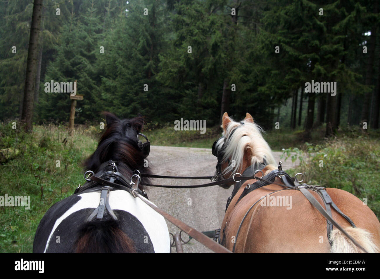 Back can hi-res stock photography and images - Alamy