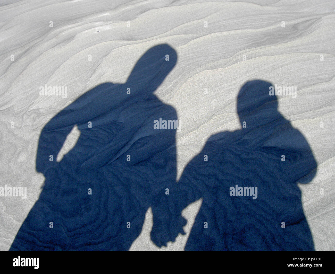 humans human beings people folk persons human human being beach seaside ...