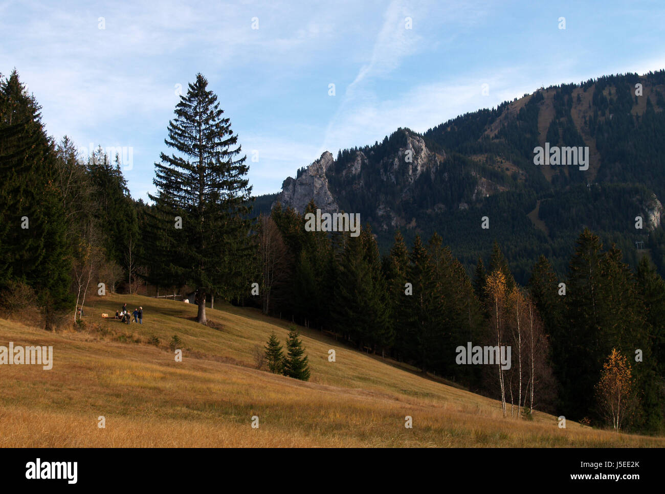 beautiful alpine country Stock Photo - Alamy